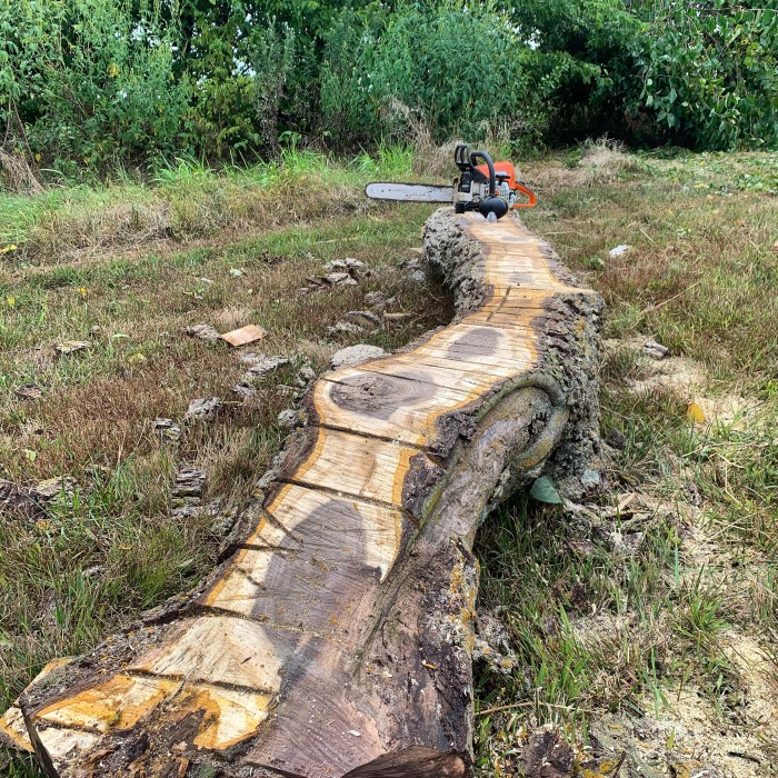 Unexpected Backyard Trail Build